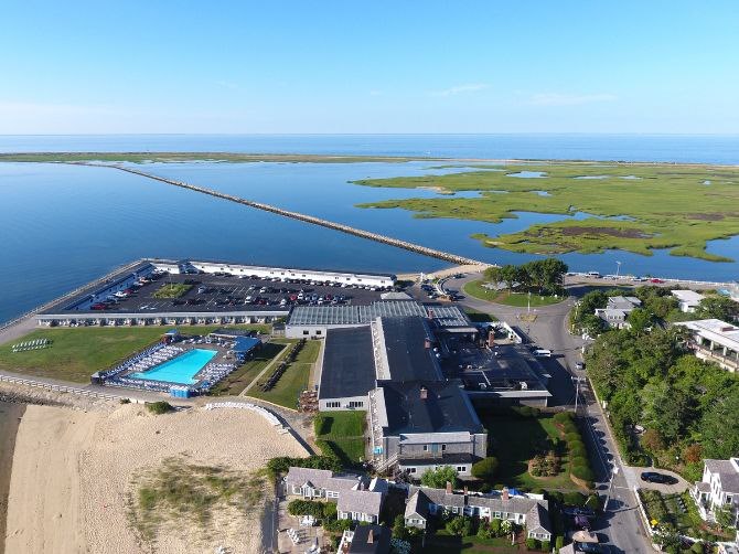 Independent Collection